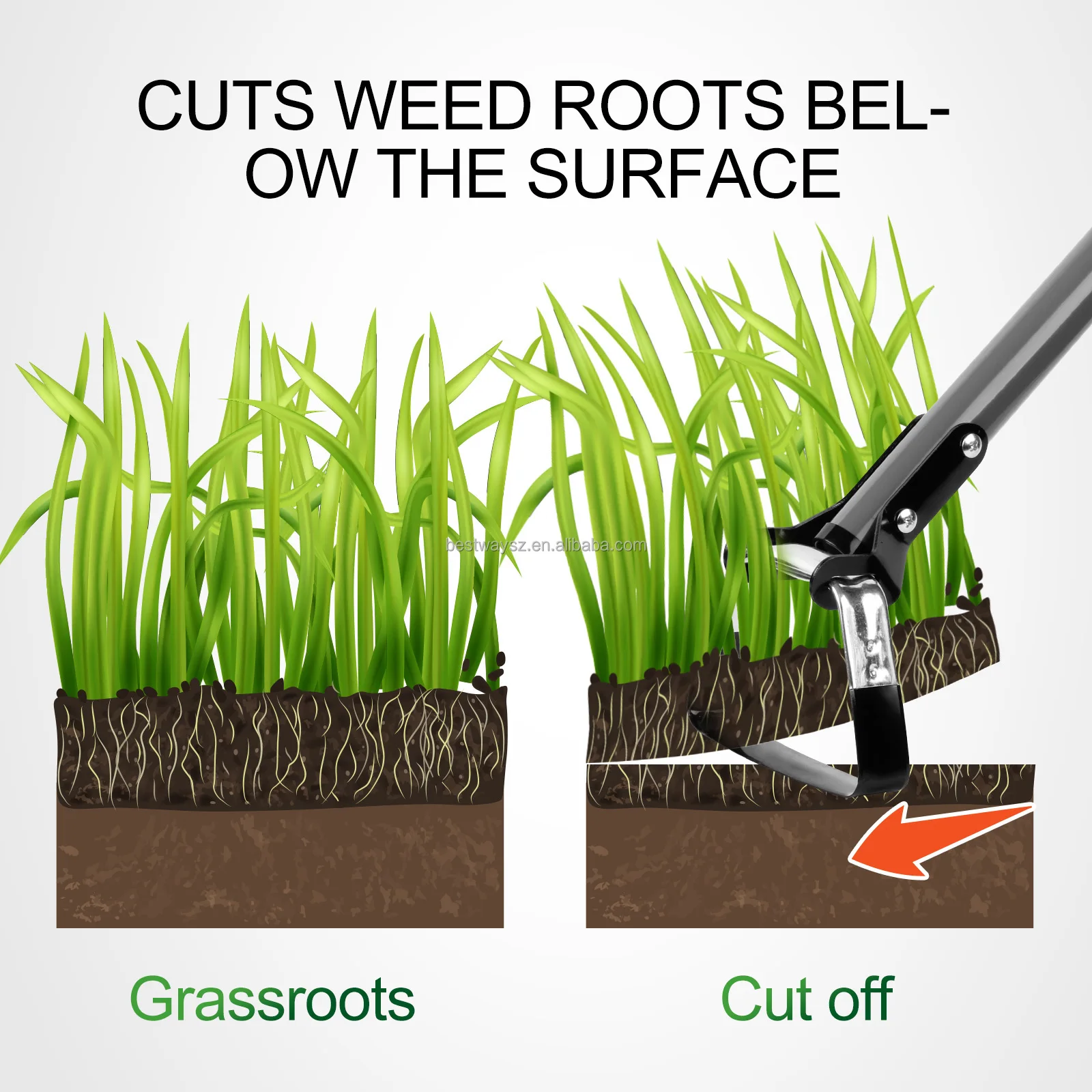 Efficient Weeding with the Action Hoe for Stirrup Garden Tool