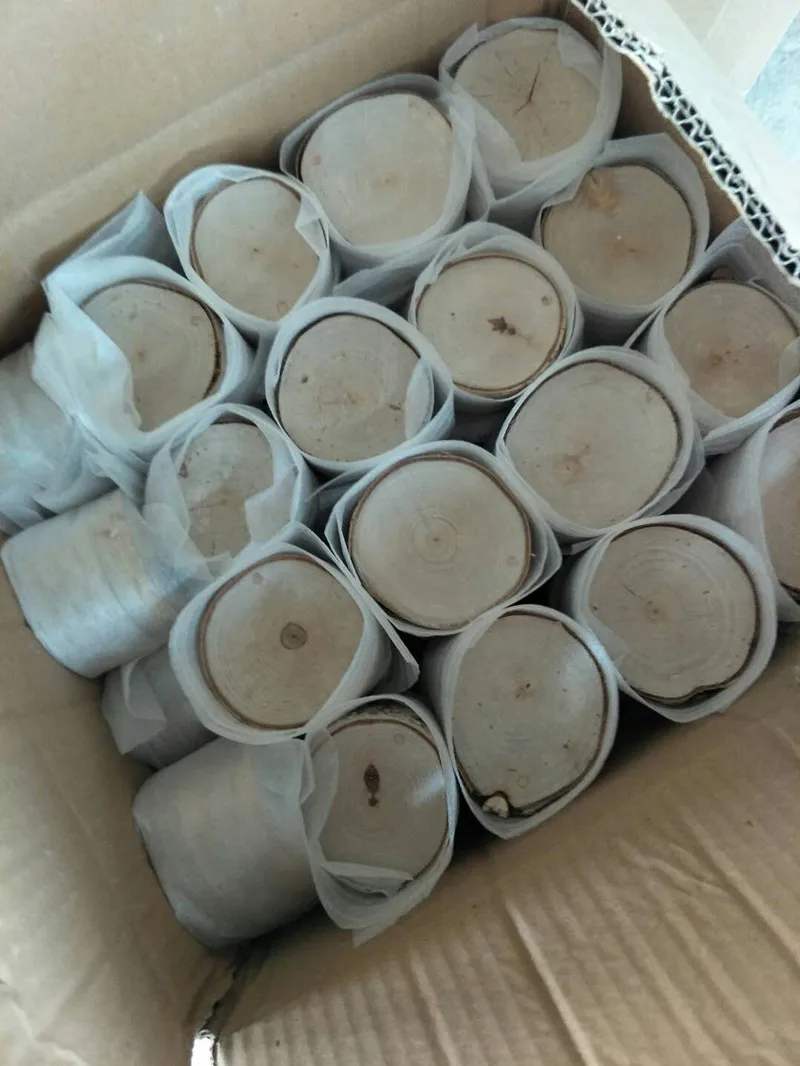 Natural Timber Cylinder Pole Wooden Log Planter Candle Holder ...