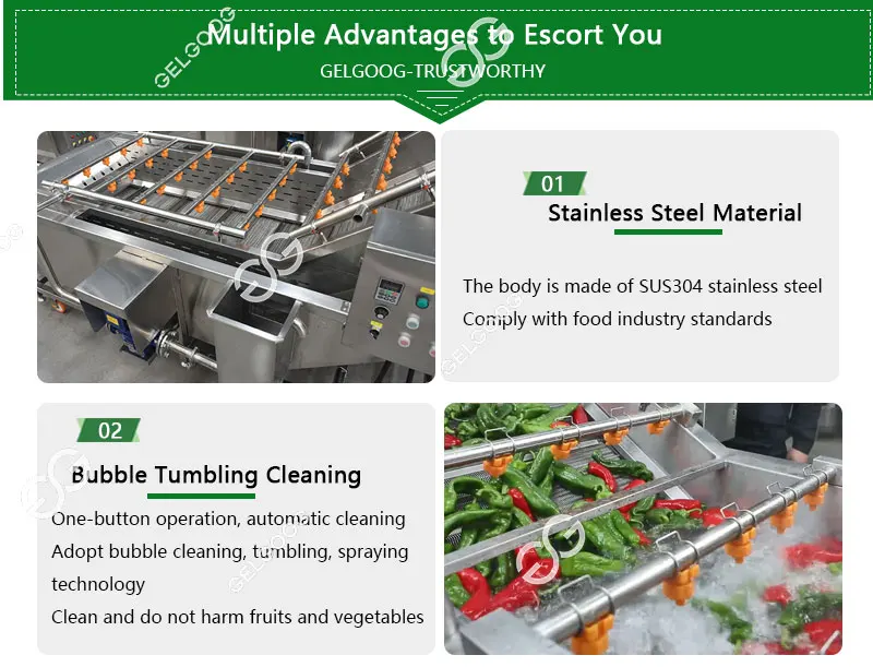Fruit and Vegetable Cleaning - Efficient Washing Solutions