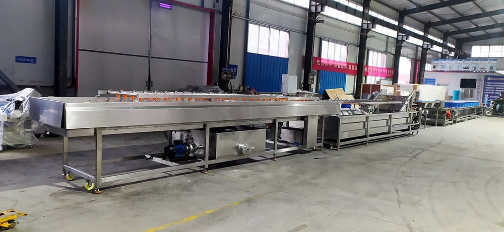 Complete 500kgs Mango Pulp Washing Sorting Machine Pineapple Peeling ...