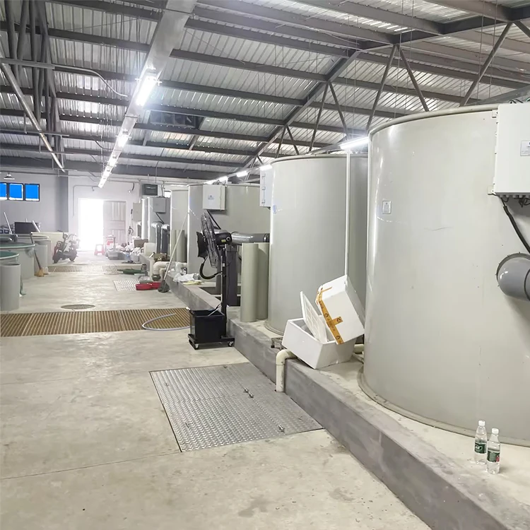 Aquaculture Recirculating System/ras Aquaculture System Fish Farming ...