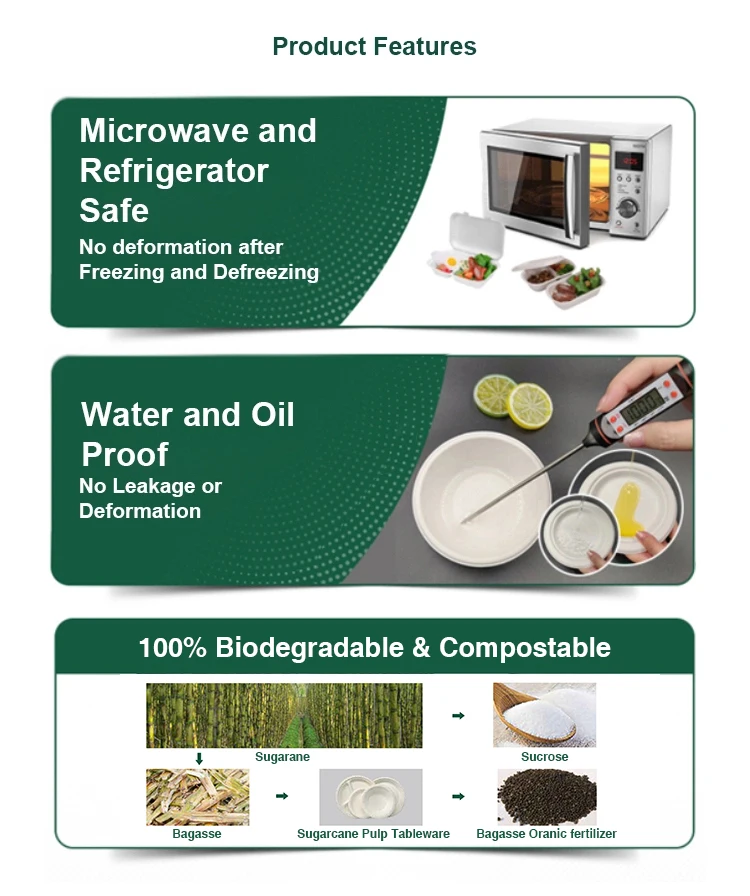 Biodegradable Microwavable Containers - Sustainable & Durable