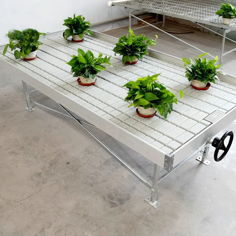 Movable Ebb And Flow/flood Greenhouse Rolling Bench System Rolling Grow Bed Seeding Nursery Bed ...
