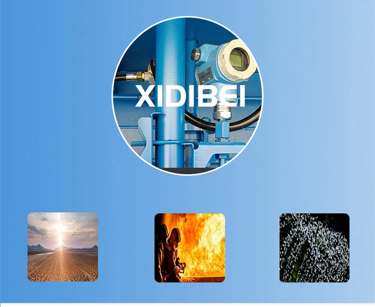 High Temperature Armored Drop-in Liquid Level Transmitter Ss316l 4-20ma ...