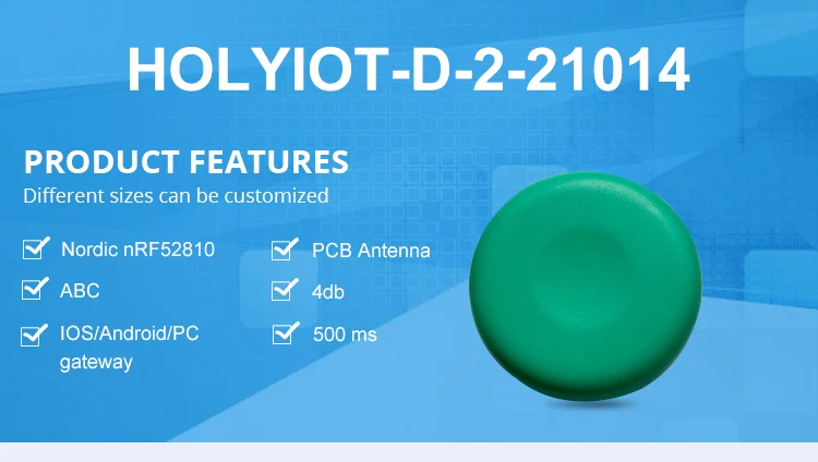 Holyiot Ibeacon Tag - Nrf52810 Bluetooth Module for Tracking