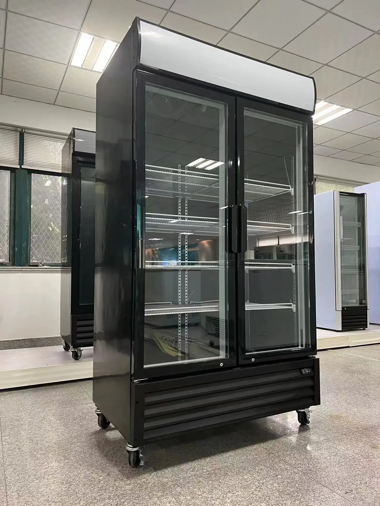 Metal Ice Slim Display Fridge Mini Compact Upright Tall Slim Icecream ...