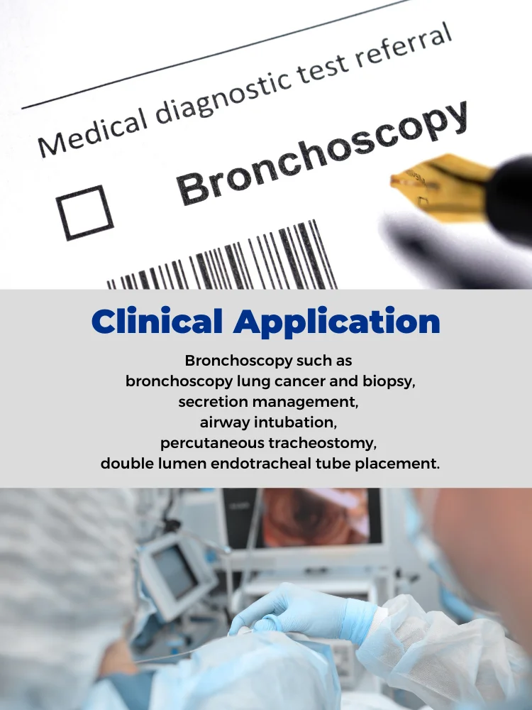 BESDATA Bronchoscopy Ent Endoscope System for Surgical Use