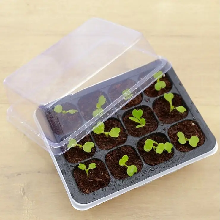 Garden Greenhouse Polystyrene Seed Trays Plastic 24 Cells Rice Nursery ...