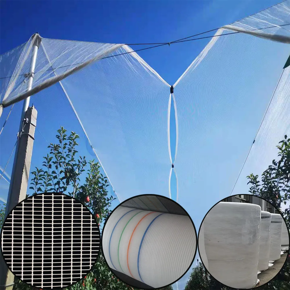 Agricultural HDPE Plastic Anti Hail Mesh Net Black Hail Proof Net Anti ...