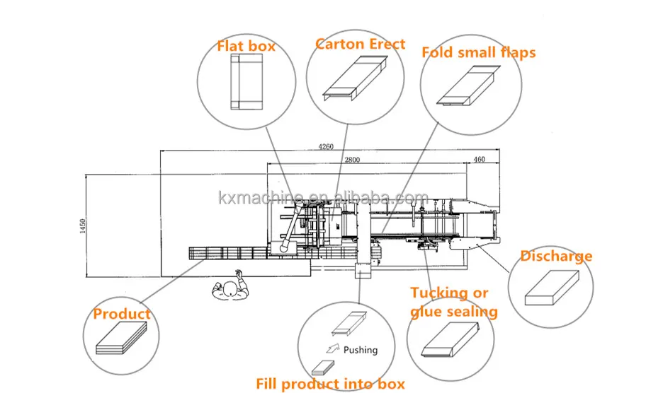 Automatic Boxing Cartoning Packing Machine - High Productivity