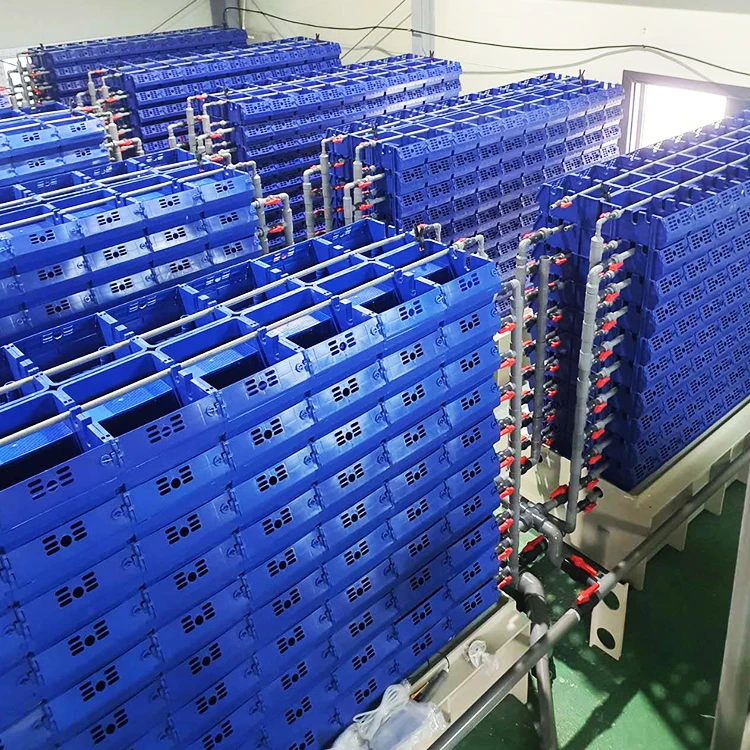 Plastic Crab Farming Boxes - Efficient Aquaculture Solutions