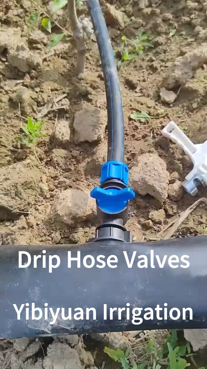 Underground Drip Irrigation System