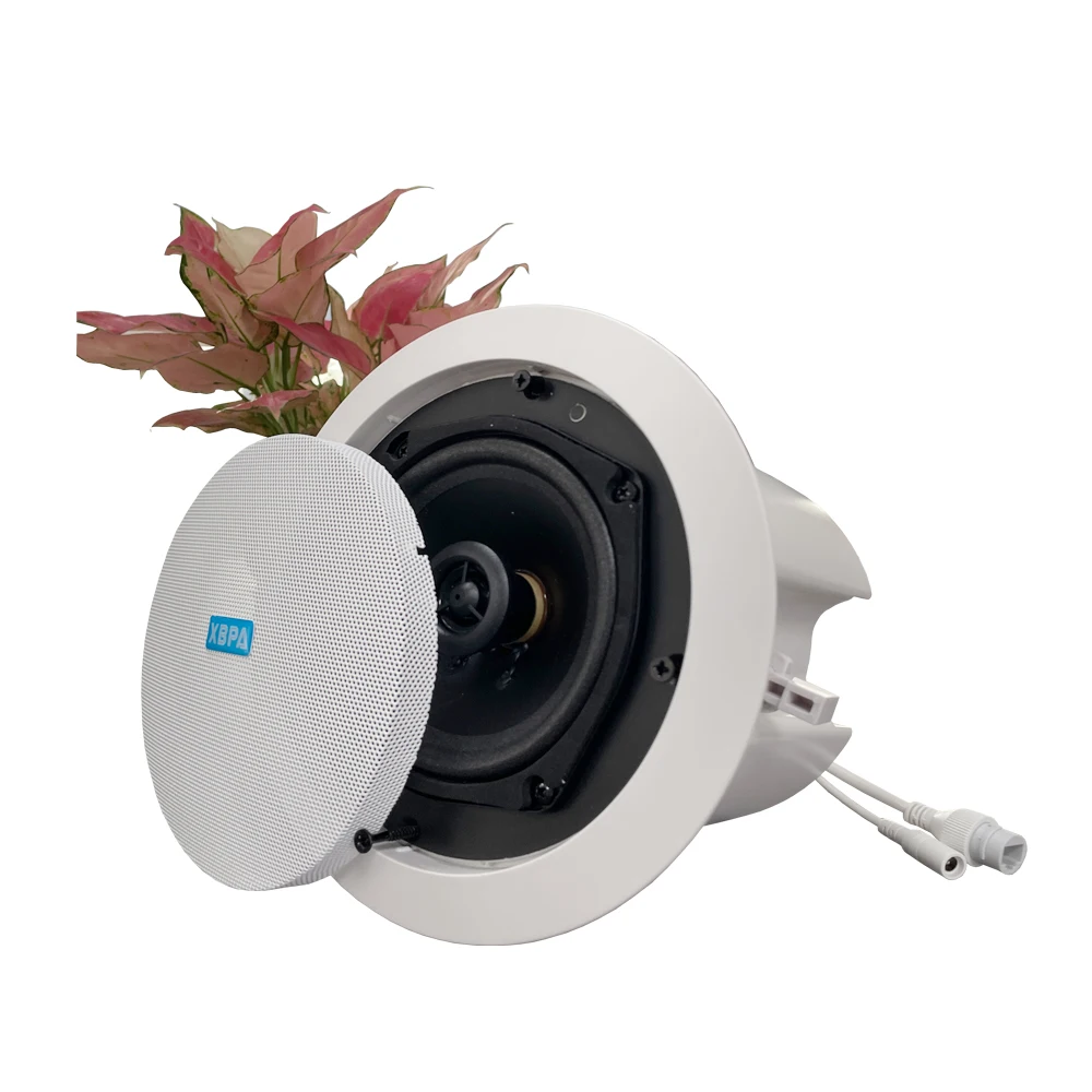 PA Speaker System POE - Versatile Indoor and Outdoor Solutions