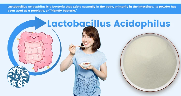 Pure Probiotics Lactobacillus Acidophilus Bacteria High Quality Supply ...