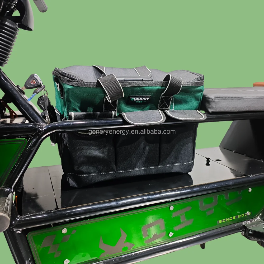 Electric Compact Size Massive Load 300kg Capacity Bike with Rear Hub ...