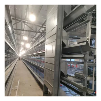 Automatic Broiler Breeding Cage System Broiler Brooding Battery Cage ...