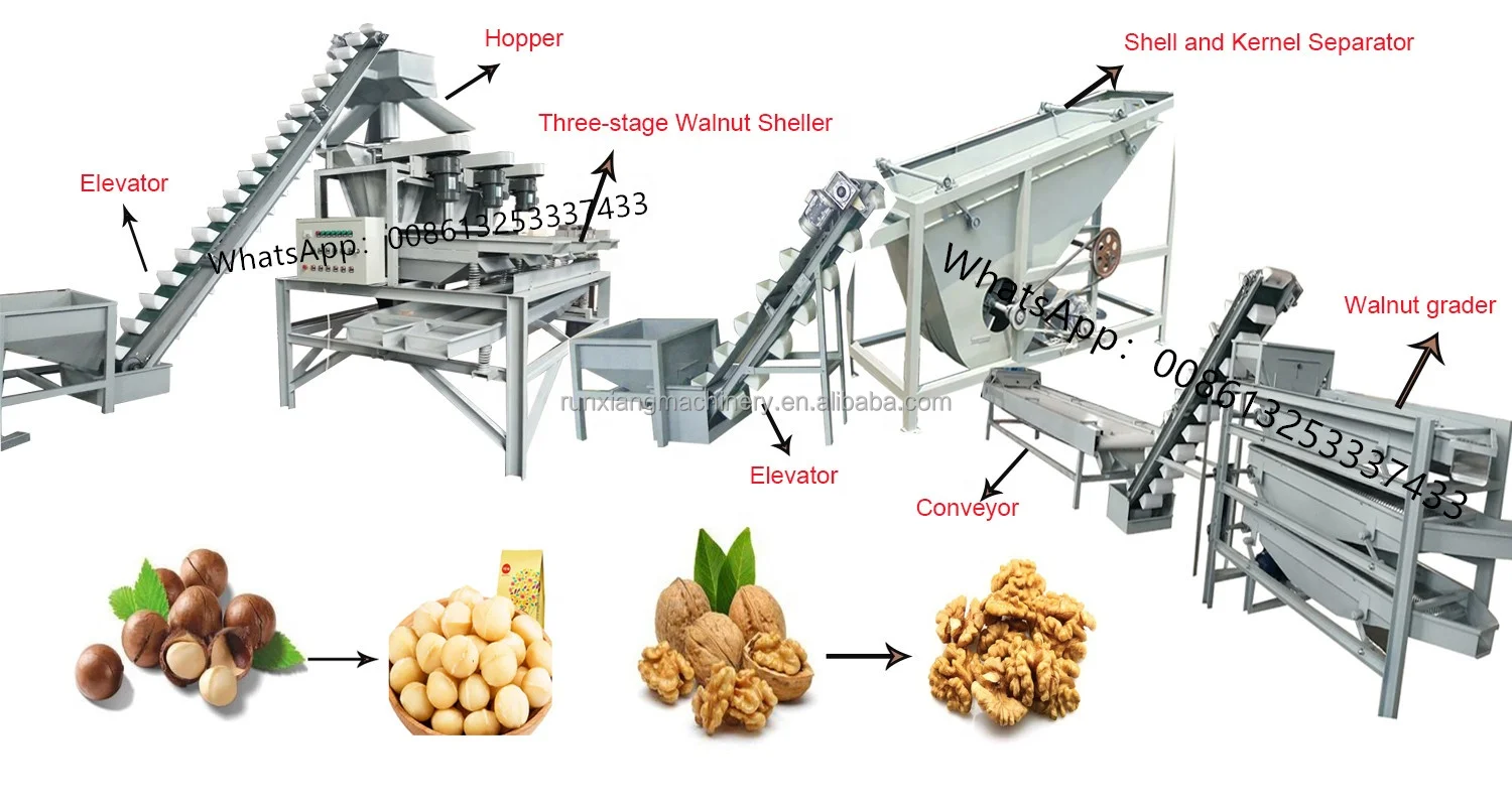 High Efficiency Nuts Processing Machines - Reliable Solutions