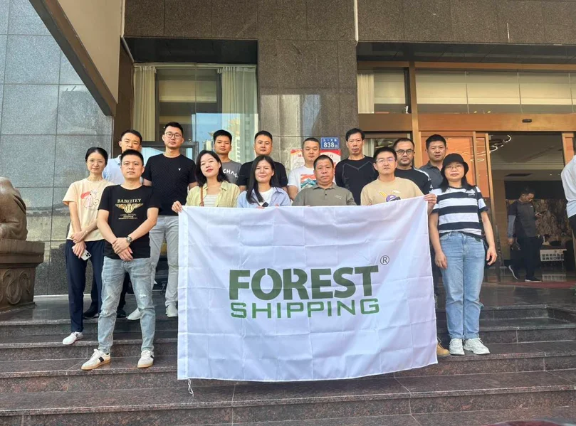 Air Express Freight Forwarder Logistics Services Dropshipping Agent for ...
