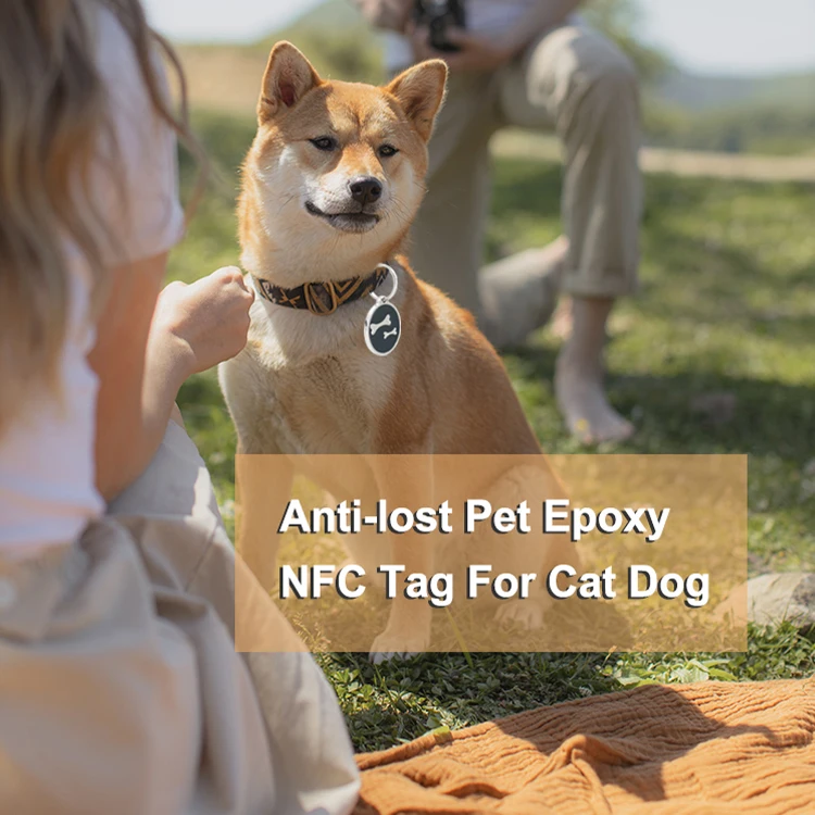 Custom Shapes Programmable Qr Code Pet Tag Different Id Number For Pet ...