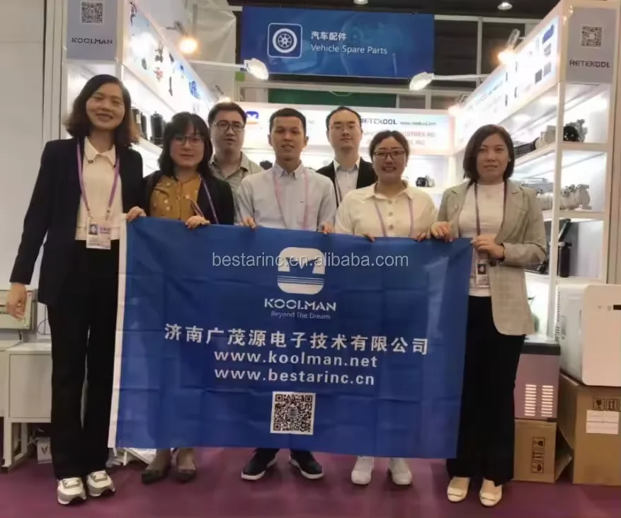 New 12V Radiator Cooler for Car Engines and Gearboxes with 93184197 ...