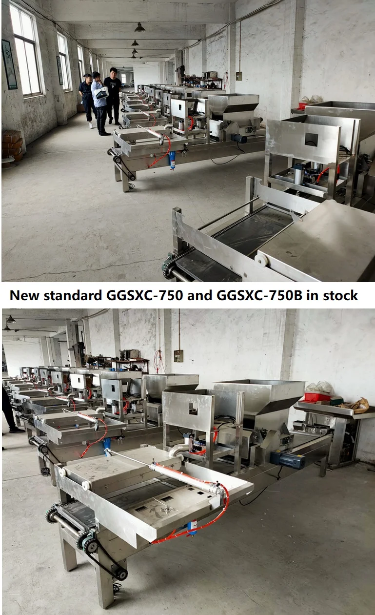 Auto Tray Seeding Machine - High Precision & Efficiency