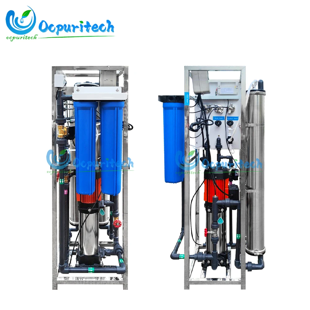 2023 Mini RO Water Plant 500lph - Efficient Purification