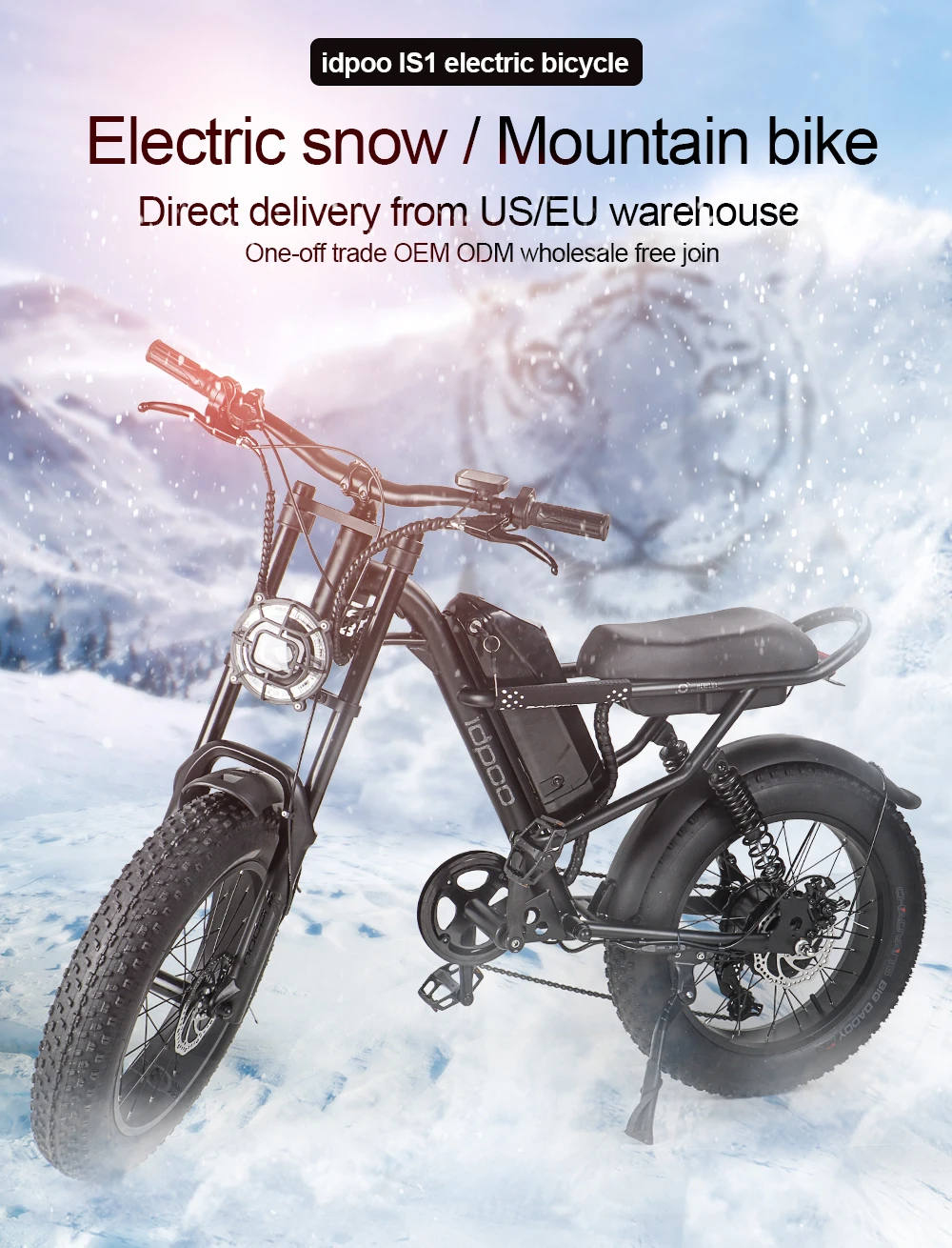 Buy Wholesale China Ecorider 48v 13ah 750w 20inch Fat Tire Mountain ...