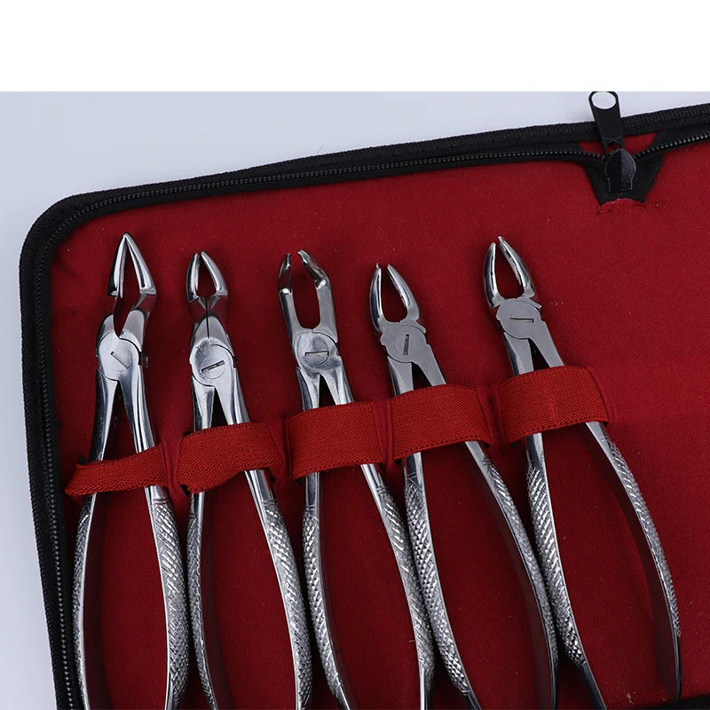 E-luck Dental Extracting Forceps - Quality Tooth Extraction