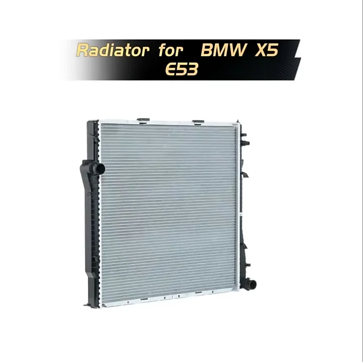 X5 E53 2001-2006 Motor 17107544668 De Agua De Refrigeración Del ...