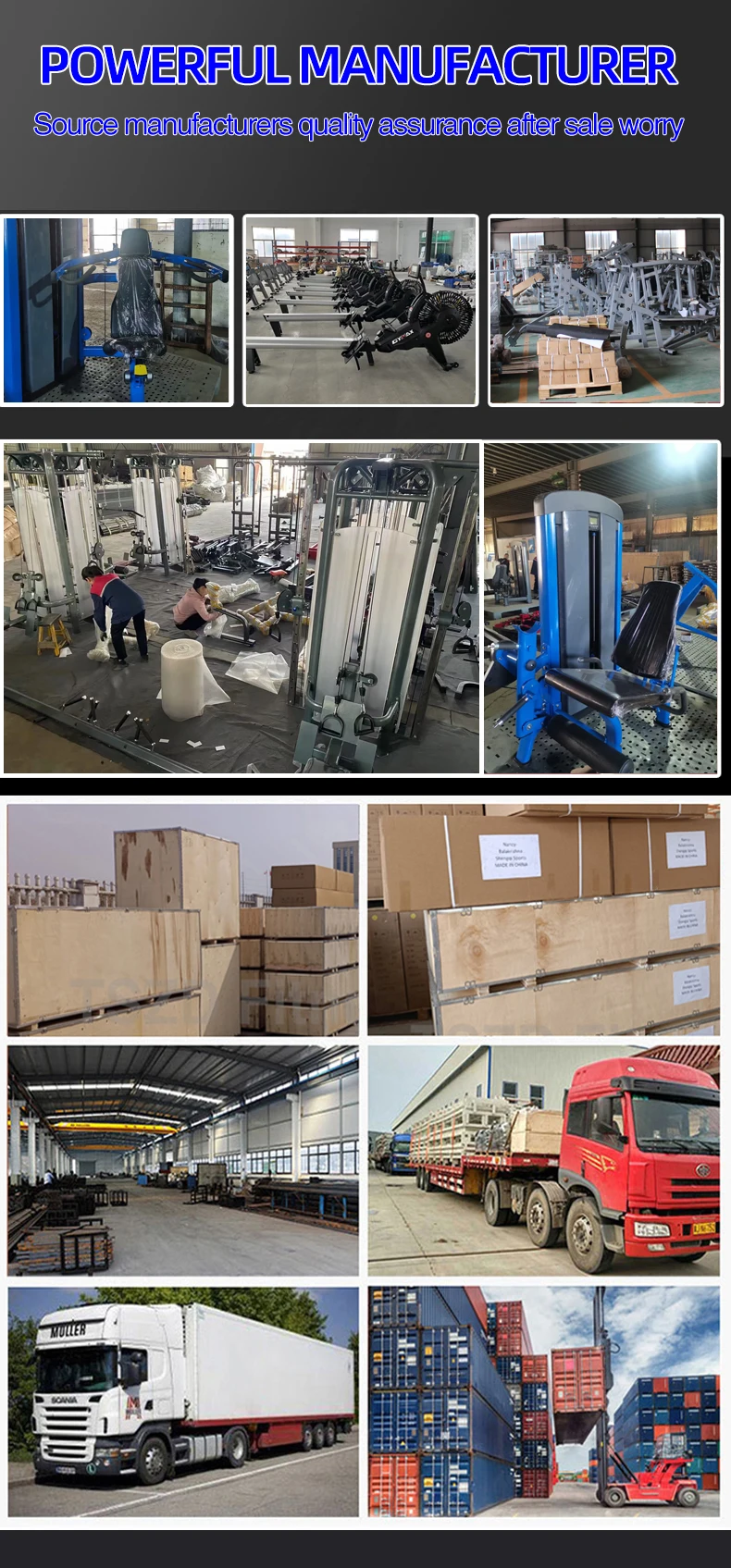 Seated Pectoral Fly Machine For Gym Use - Buy Training Machine Product ...