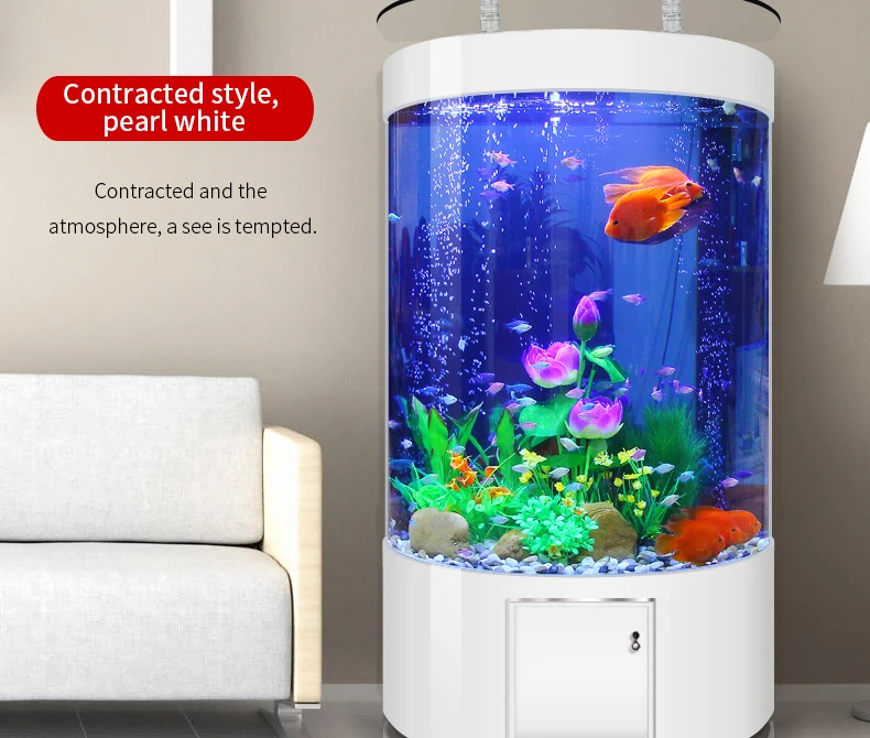 Customized European Semi-Circular Aquarium - Stocked & Sustainable