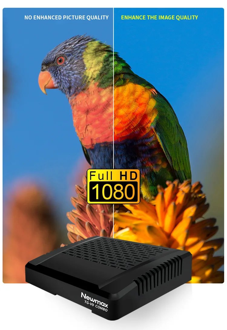 NEWMAX TG-V9 Tiger Free to Air Decoders - Mini TV Box