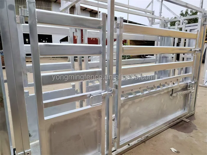 Heavy Duty Galvanized Cattle Panels for Australian Livestock Yards and ...