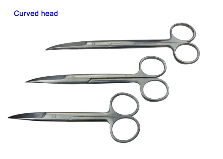 Stainless Steel Veterinary Surgical Scissors & Tools