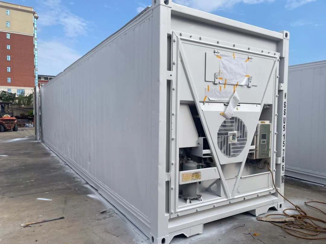20ft & 40ft Used Reefer Containers For Sale Frozen Container Freezer ...