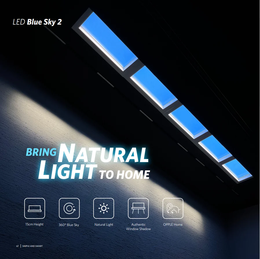 Opple Skylight 300x1200 600x1200 600x600 Surface Mounted Flat Troffer ...