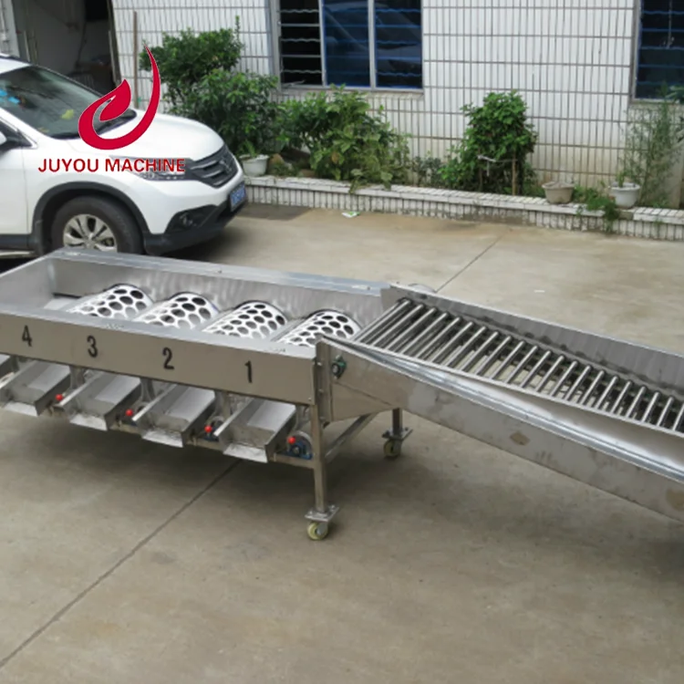 High Efficiency Fruit Sorter - Orange Lemon Chufa Potato Tomato Grading ...
