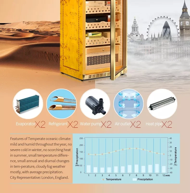 Raching SD800 Cigar Humidor & Wine Cooler - Premium Storage