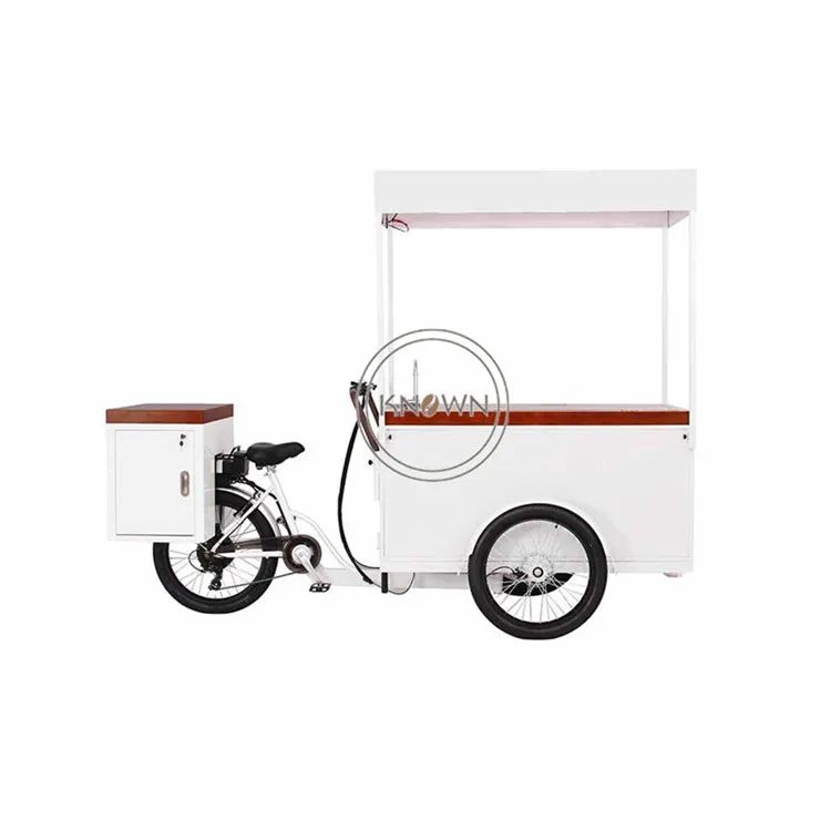 OEM Summer Holiday Cargo Freezer Bike for Vending Ice Cream