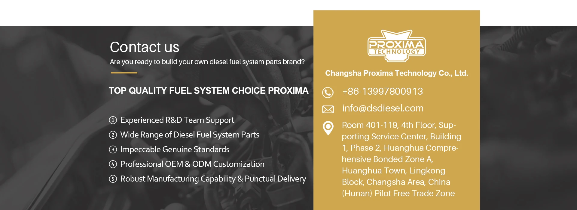 Company Overview - Changsha Proxima Technology Co. Ltd