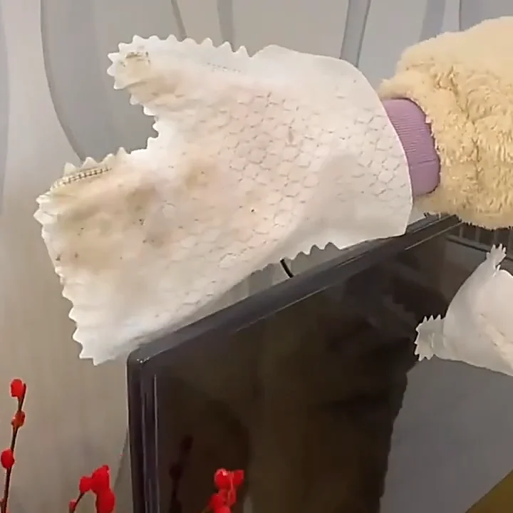 Ds1461 10pcs Thicken Dust Wipe Reusable Mitt Microfiber Dust Removal ...