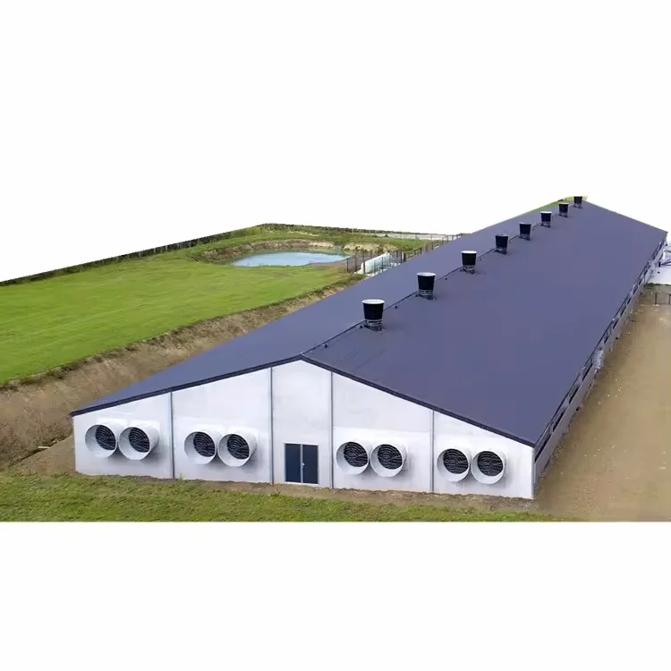 Industrial-Style Steel Structure Chicken Coop for Farm Construction for ...