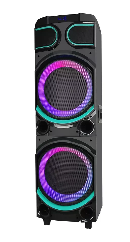 Wooden Cabinet Big Powered Woofer 80w Double 10 Inch Hifi Portable ...