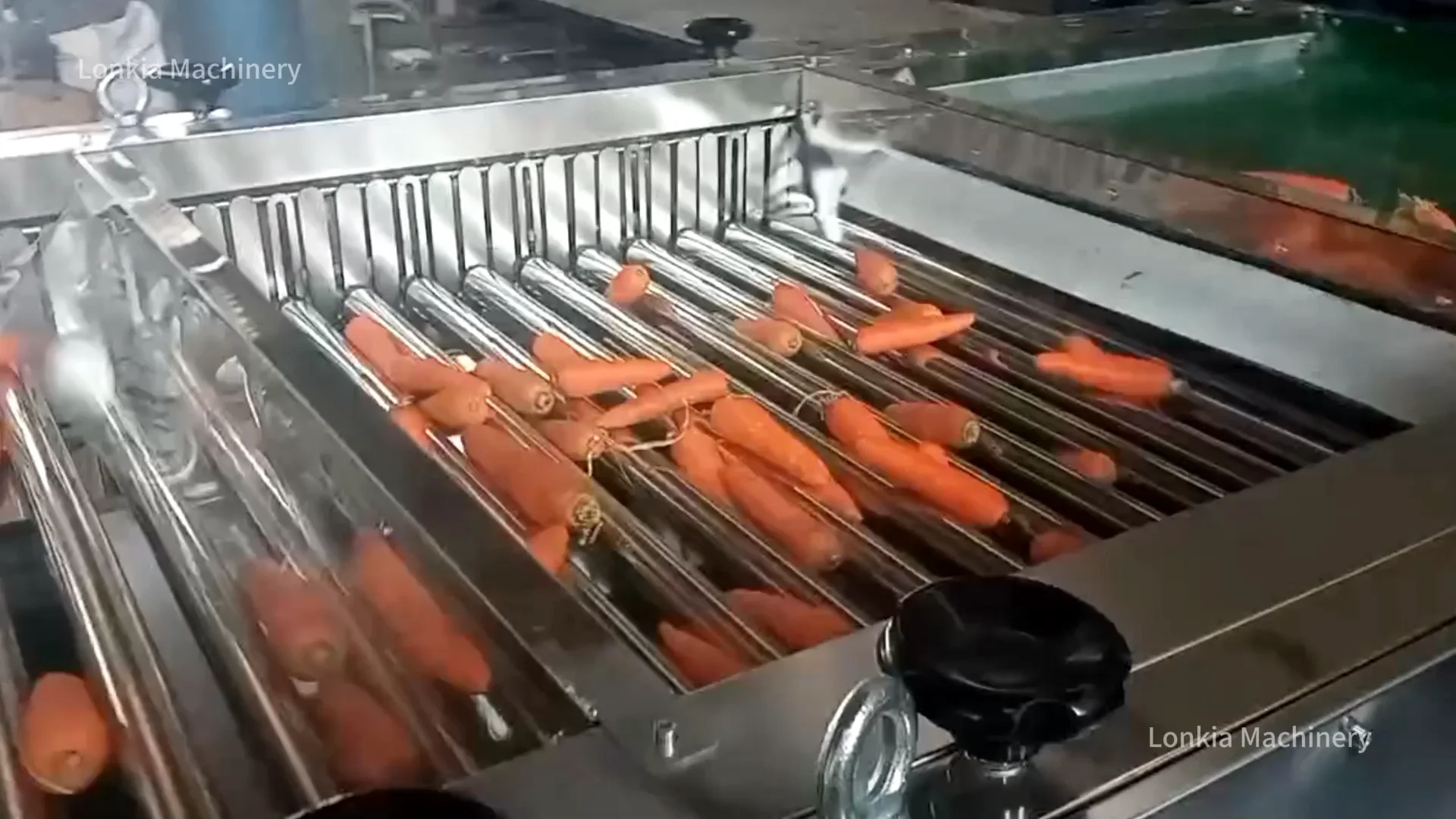 Lonkia Big Capacity Carrot Sorting Roller Oranges Fruits Grading ...