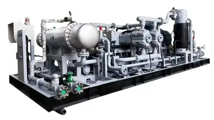 Lpg Cng Compressed Natural Gas Special Gas Compressor Biogas Compressor ...