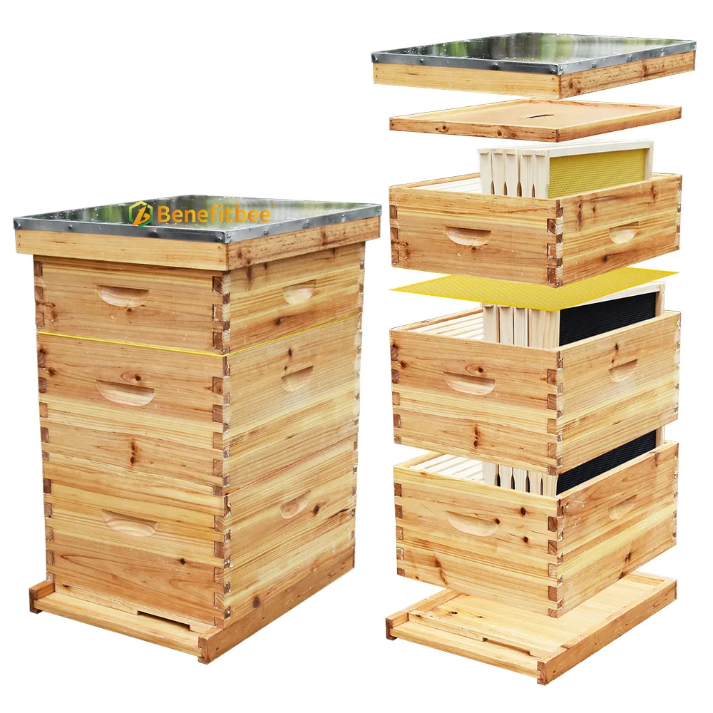 OEM Factory Langstroth Bee Hive Kit Beekeeping Equipment Wooden Beehive ...