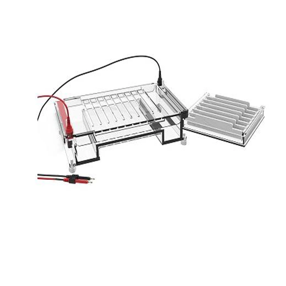 Horizontal Agarose Gel Electrophoresis Tank for PCR Laboratory Good ...