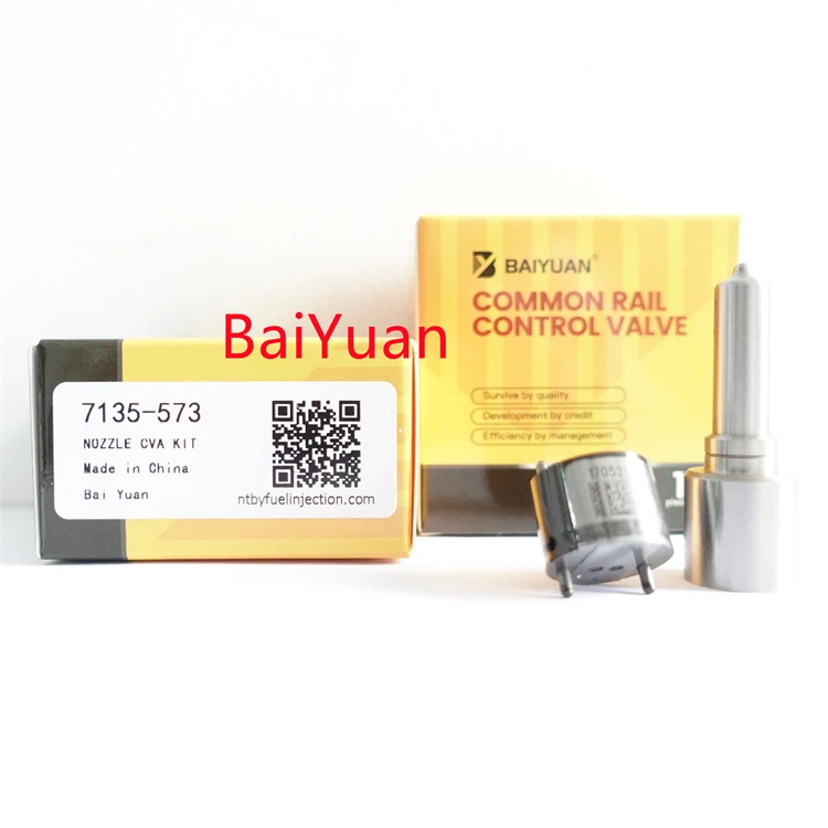 Genuine repair kit 7135-573 for Delphi injector 28229873/33800-4A710 ...