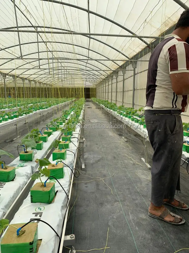 Vertical Farming Hydroponic PVC Substrate Growing Groove Cocopeat ...