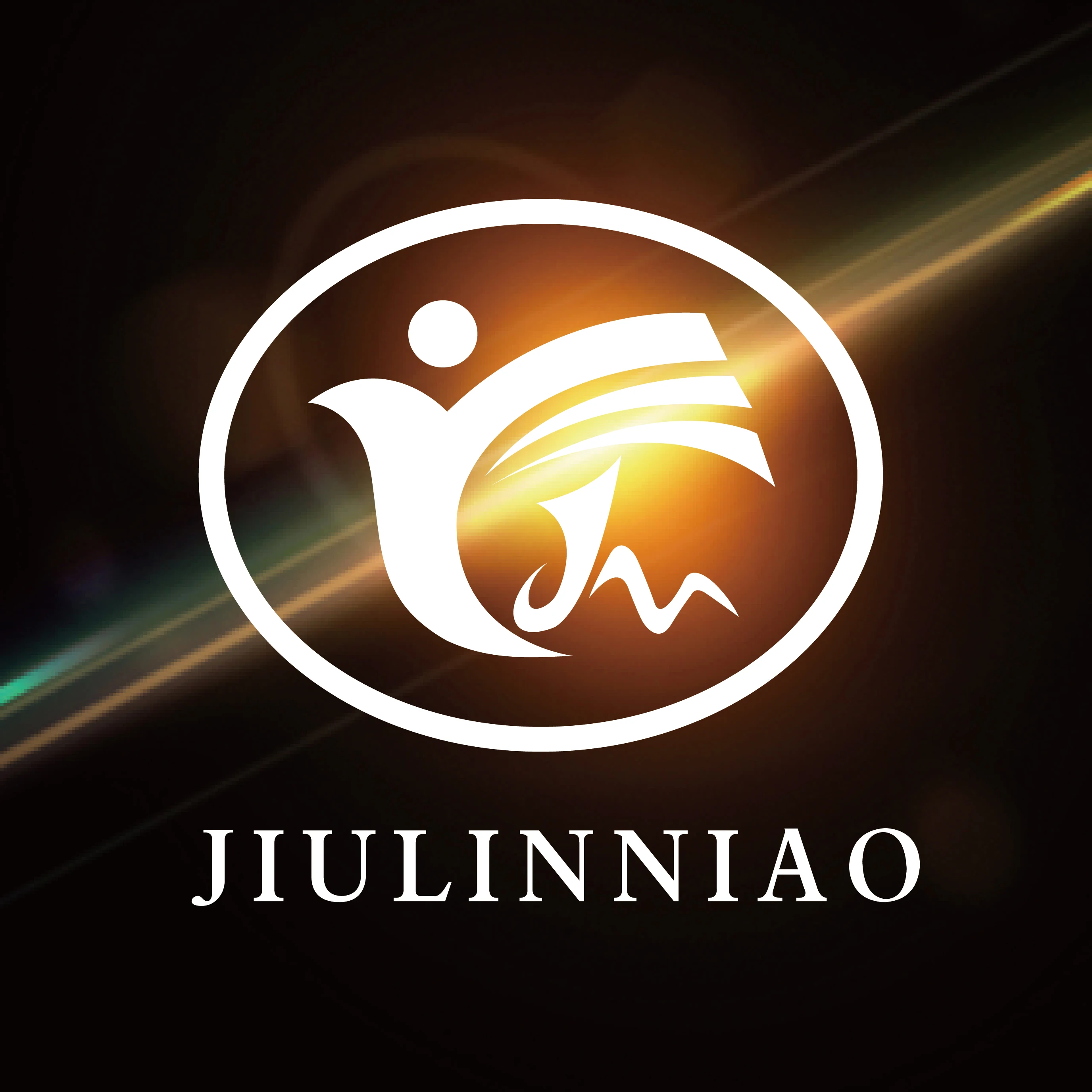 Company Overview - Wenzhou Jiulin Bird New Material Ltd